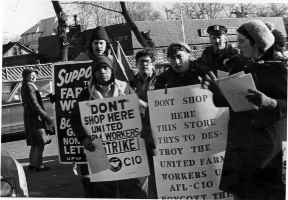 Walter P. Reuther Library (3176) A group of UFW demonstrators