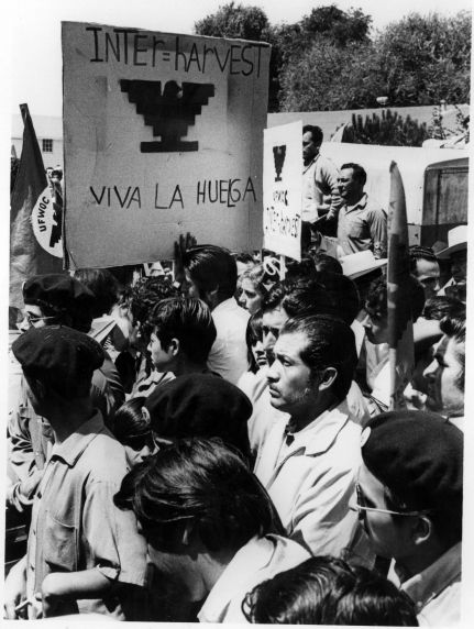 Walter P. Reuther Library (3180) UFW demonstration during the ...