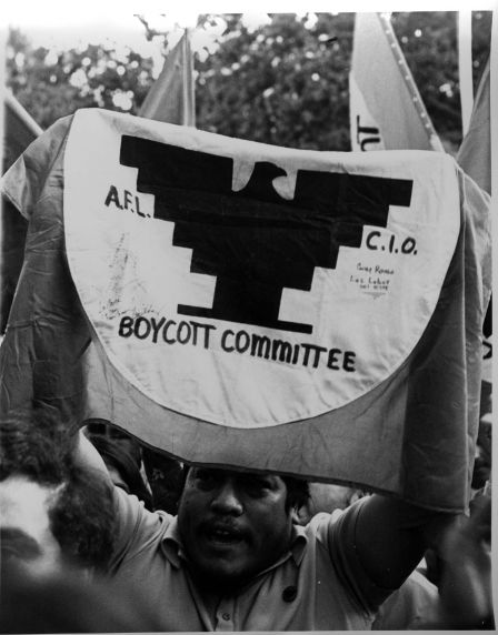 Walter P. Reuther Library (3205) A man holds a flag during an ...