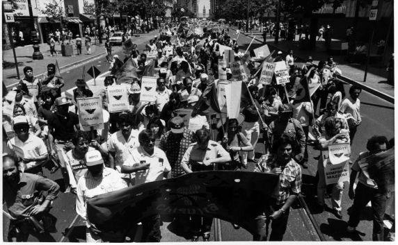 Walter P. Reuther Library (3257) Cesar Chavez, Demonstration, San ...